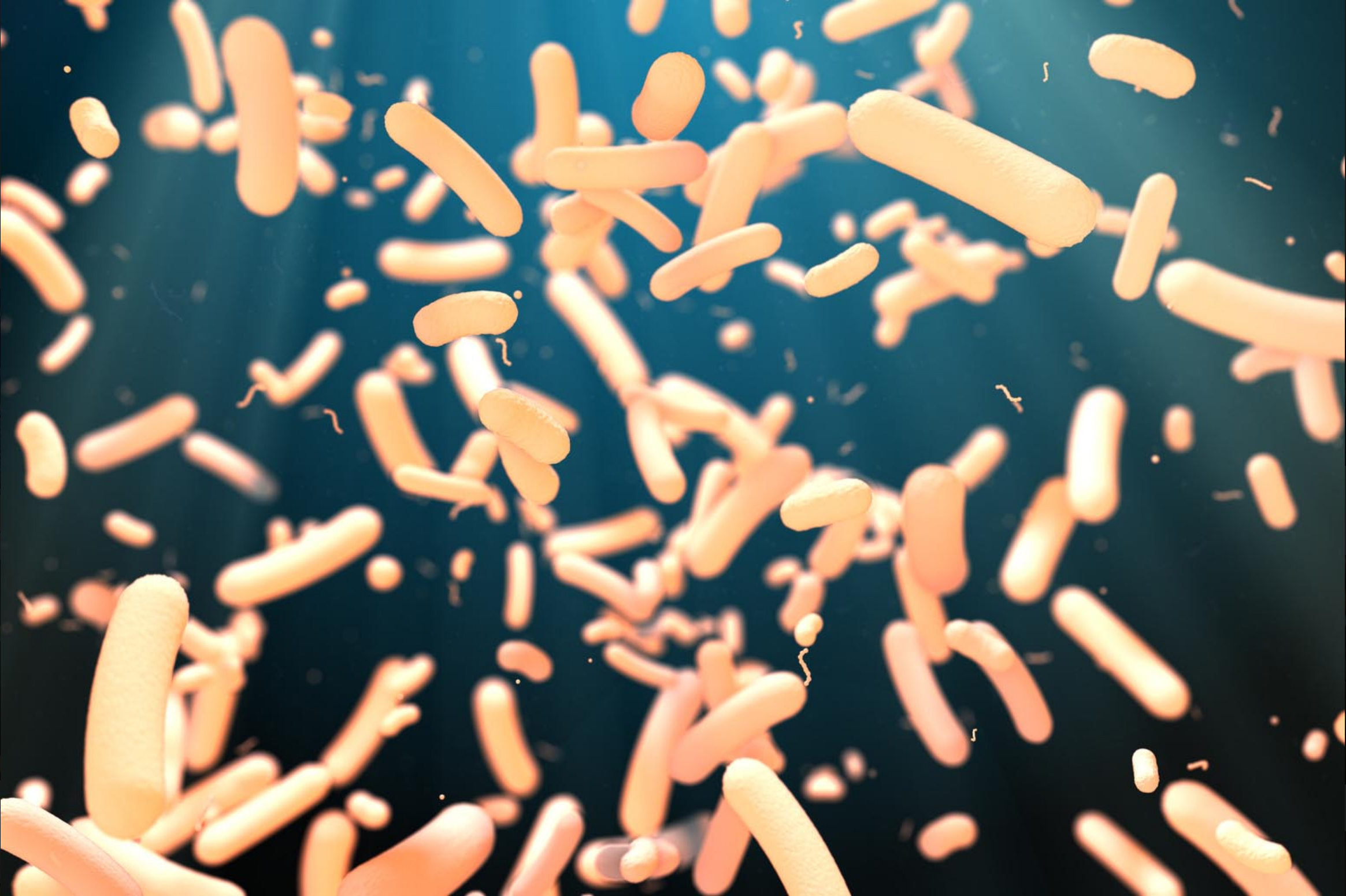 Probiotic 101: ALL Need-To-Know Facts About PROBIOTICS ...